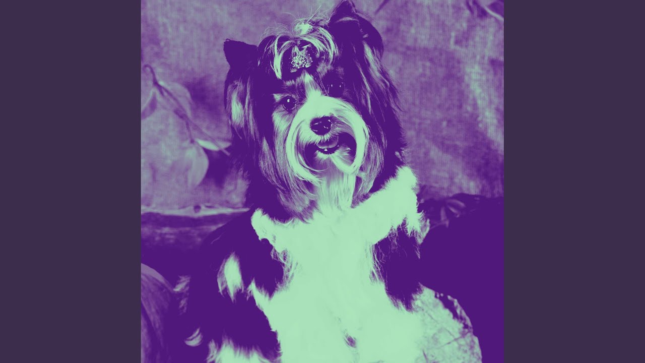 Sublime Piano Jazz - Vibe for Doggy Afternoon Rest - YouTube