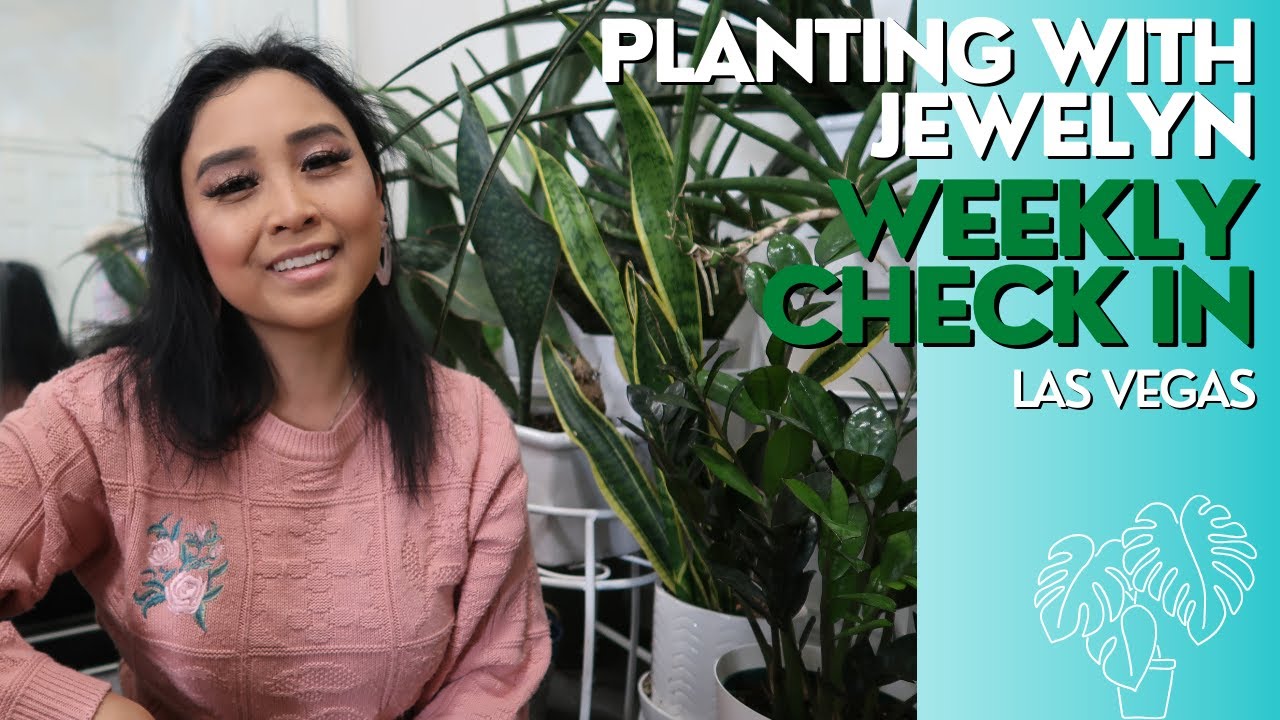 Planting with Jewelyn: Plant talk, new blooms + Hawaii pop up dates ...