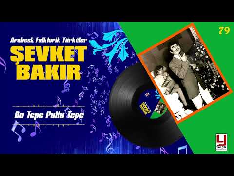 Şevket Bakır -  Bu Tepe Pullu Tepe 1979