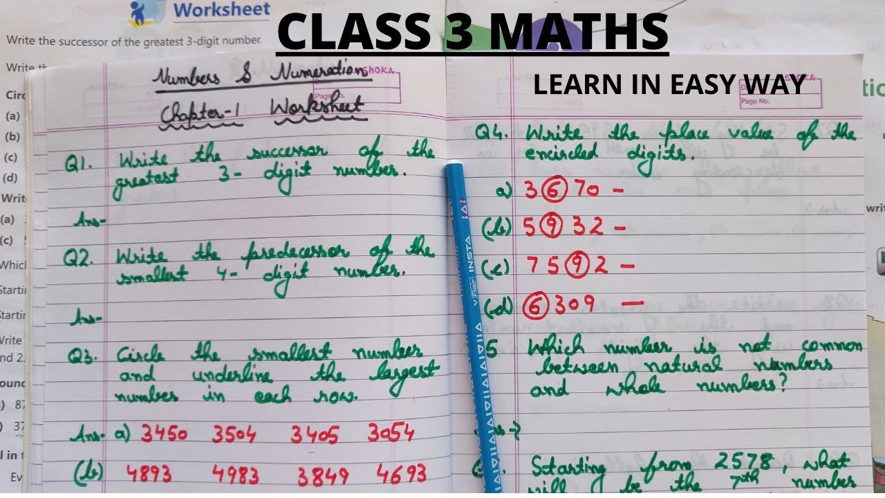 Class 3 Maths Worksheet of chapter 1 Numbers & Numeration - YouTube