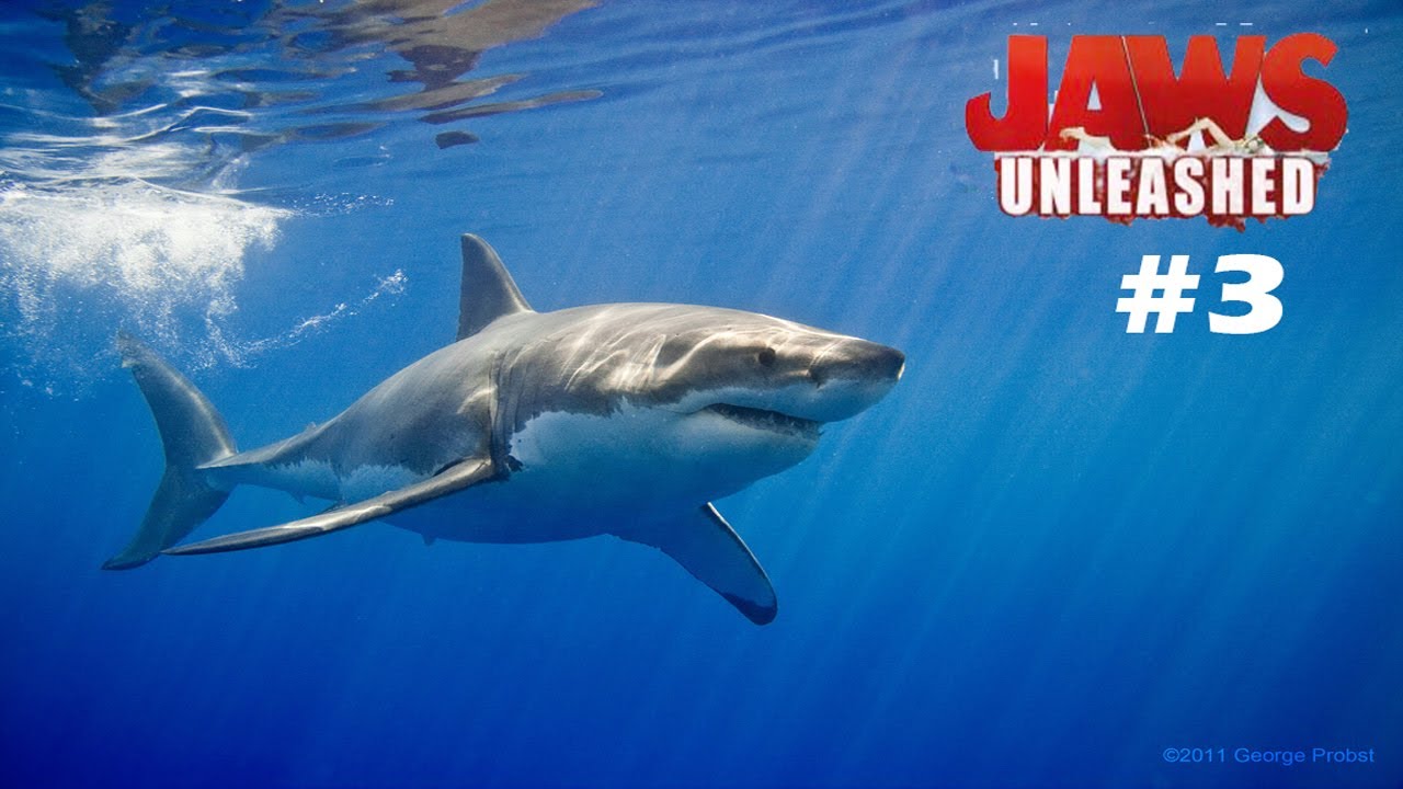 Jaws Unleashed: #3 Bicho piruleta!! - YouTube
