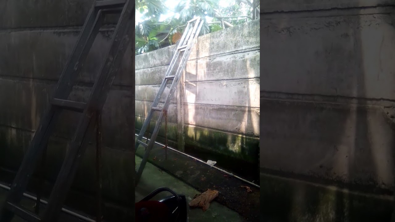 Persiapan ngintip janda bohay mandi - YouTube