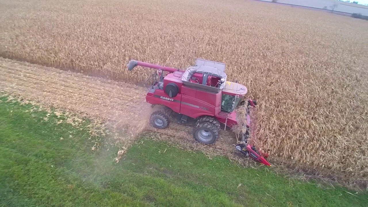 Banowetz Harvest 2016 - YouTube