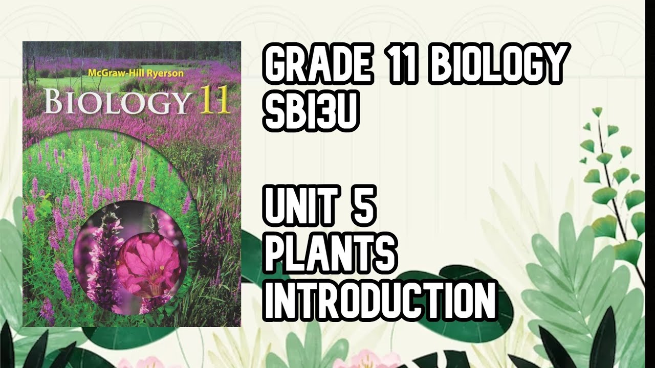 SBI3U - Unit 5 Class 1 Plants - How Plants Work? (Grade 11 Biology ...