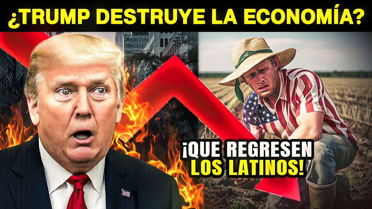 🔴¡Mira POR QUÉ los Gringos PIDEN que REGRESEN LOS LATINOS!💥 - YouTube