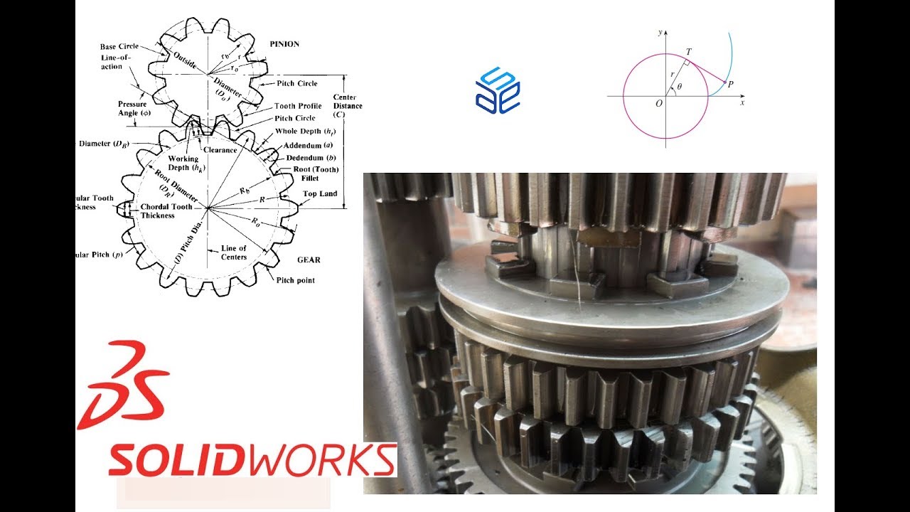 How to draw a real gear in SolidWorks - YouTube