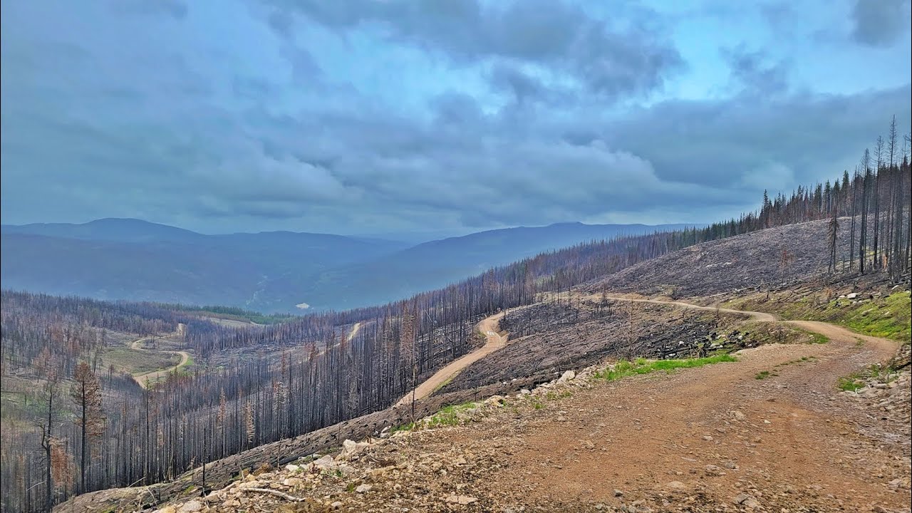 Fig Peak & Selish Mountain June 17, 2022 - YouTube