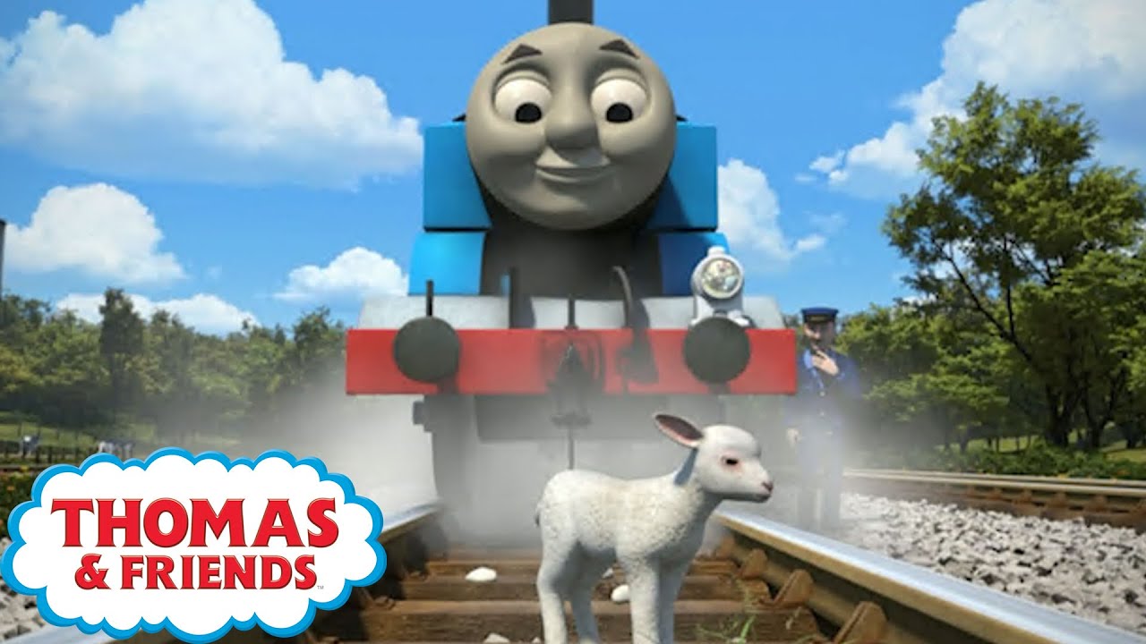 Thomas & Friends™ | Very Important Sheep | Best Train Moments ...