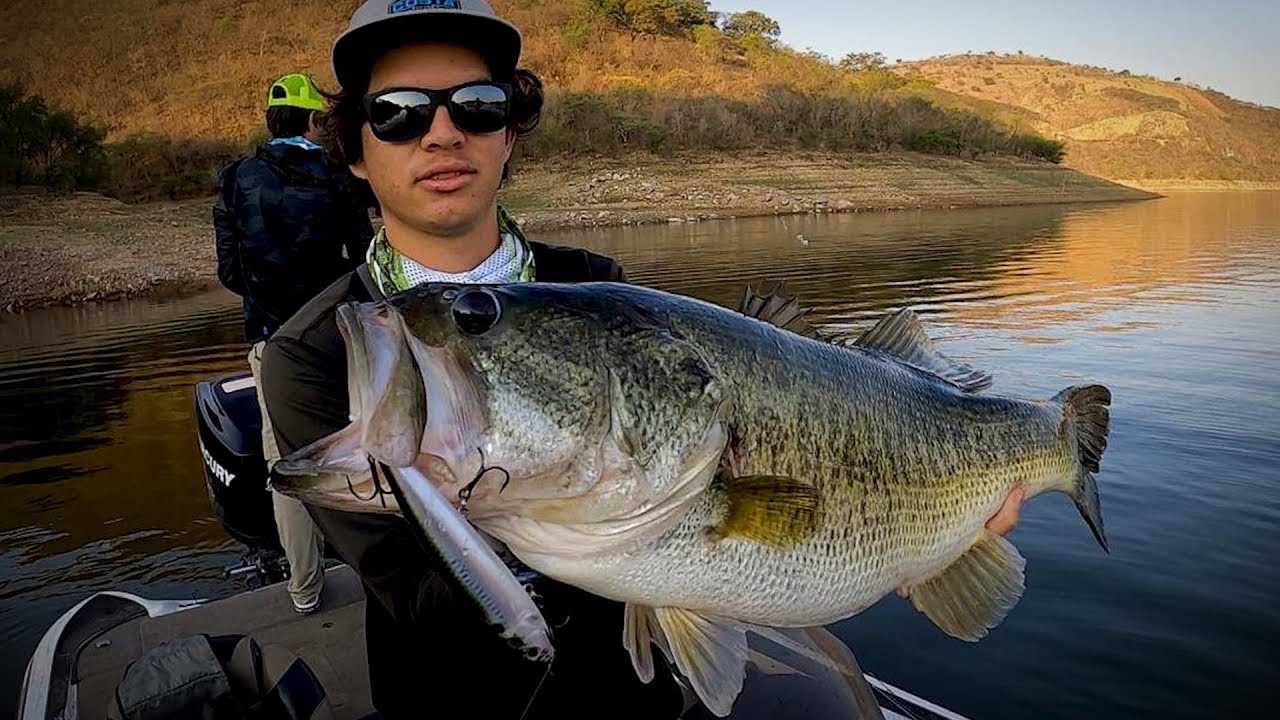 La MEJOR PESCA de lobinas del 2020!! | Pura Gigante! - YouTube