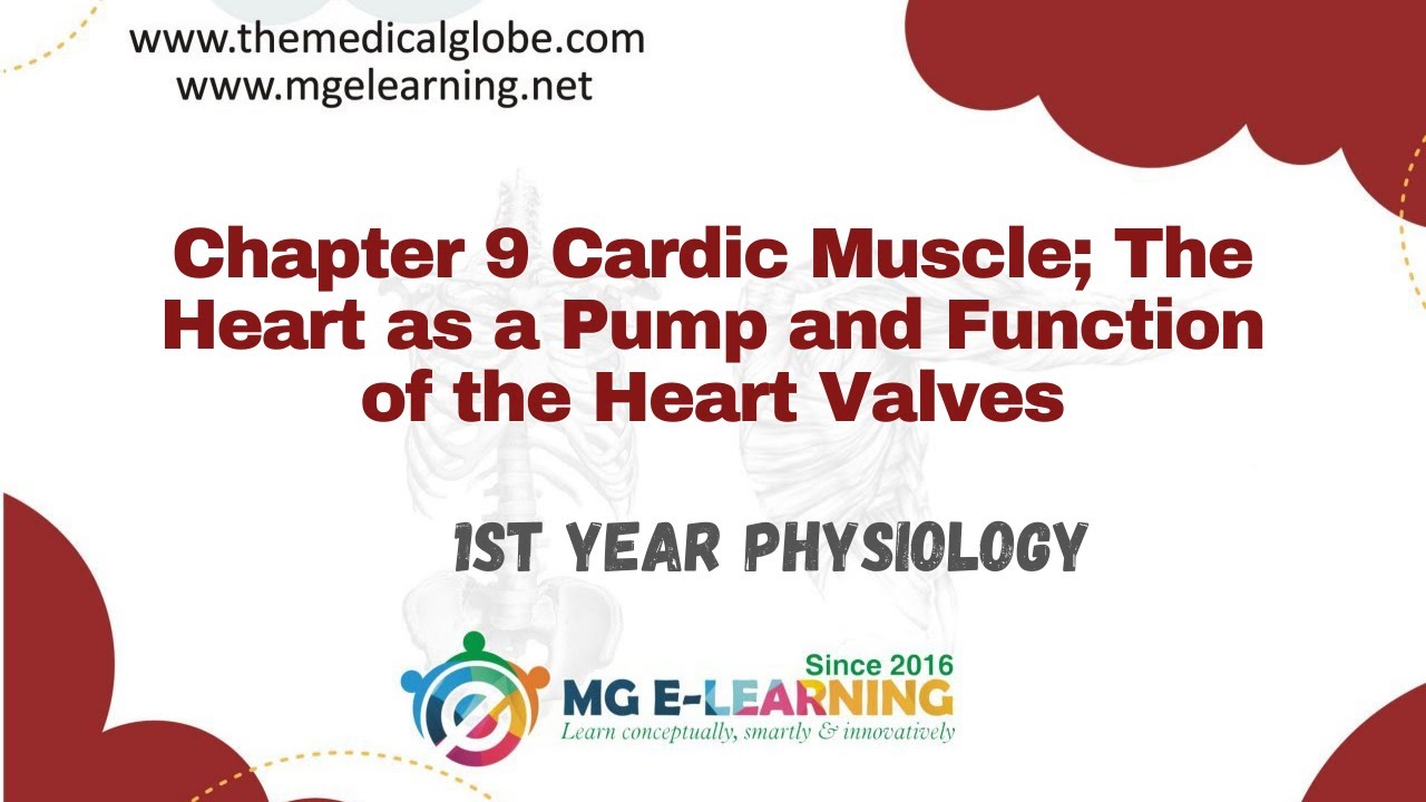 Cardiac Muscle; The Heart as a Pump and Function of The Heart Valves ...