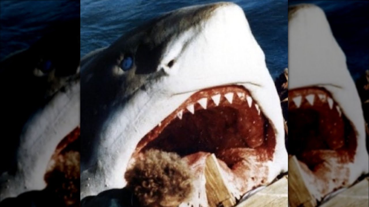 The Best Jaws Knock-Offs, Ranked - YouTube