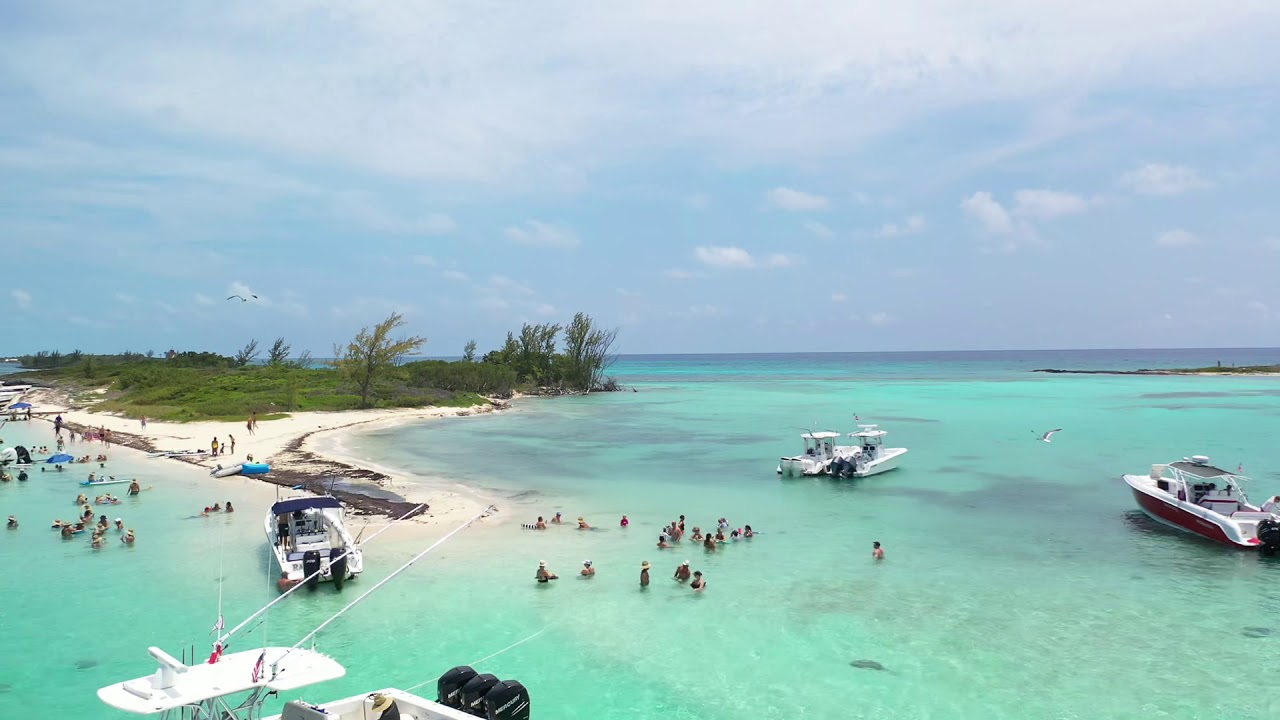 Gun Cay Bimini, Bahamas. Swimming with sharks and sting rays! - YouTube