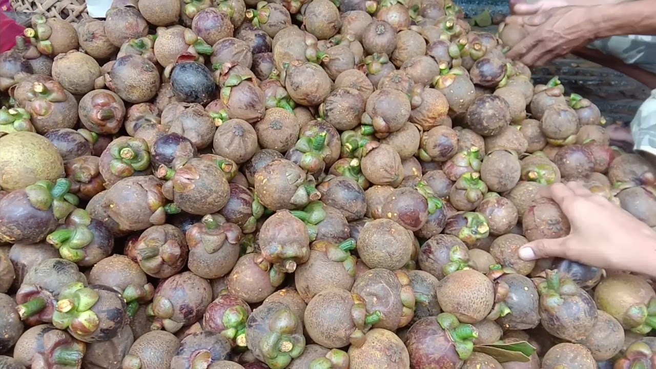 Mangosteen fruit mura ang presyo mula sa davao city - YouTube