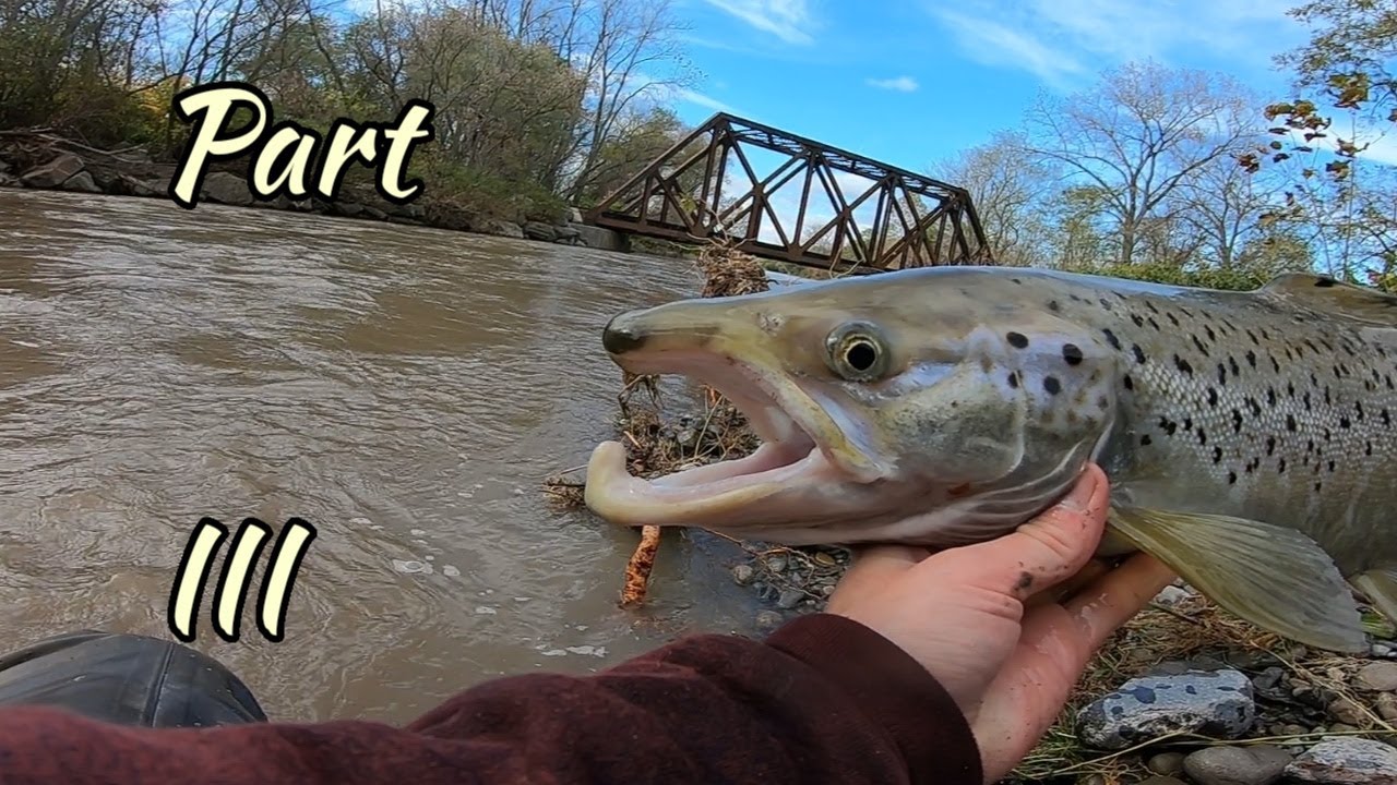 Salmon, Streamers, and High Water - NY Trip Part III - YouTube