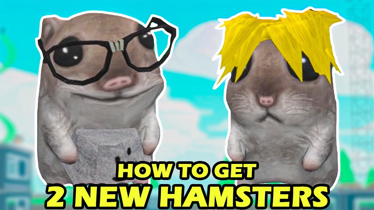 How to get 2 NEW Hamsters in Find the Hamster [Roblox] - YouTube