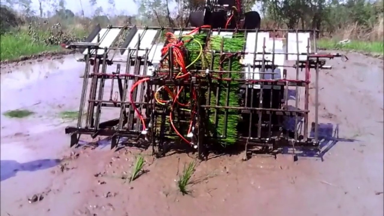 Rice paddy transplanter by using Pneumatic system - Thailand - EP1 ...