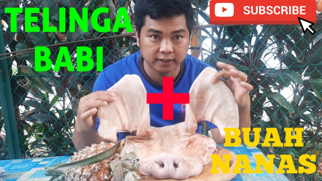 cara masak telinga babi yang mudah tapi sedap - YouTube