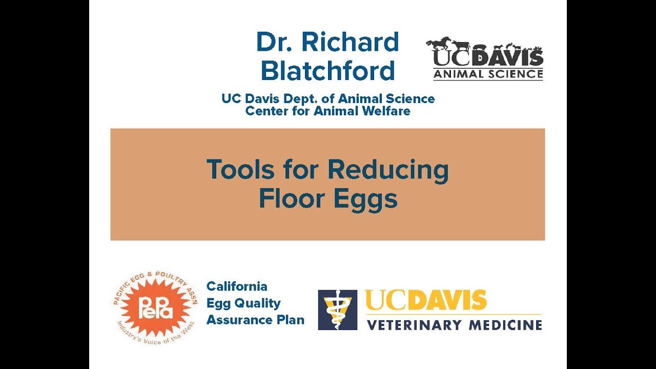 Tools for Reducing Floor Eggs - Dr. Richard Blatchford - YouTube