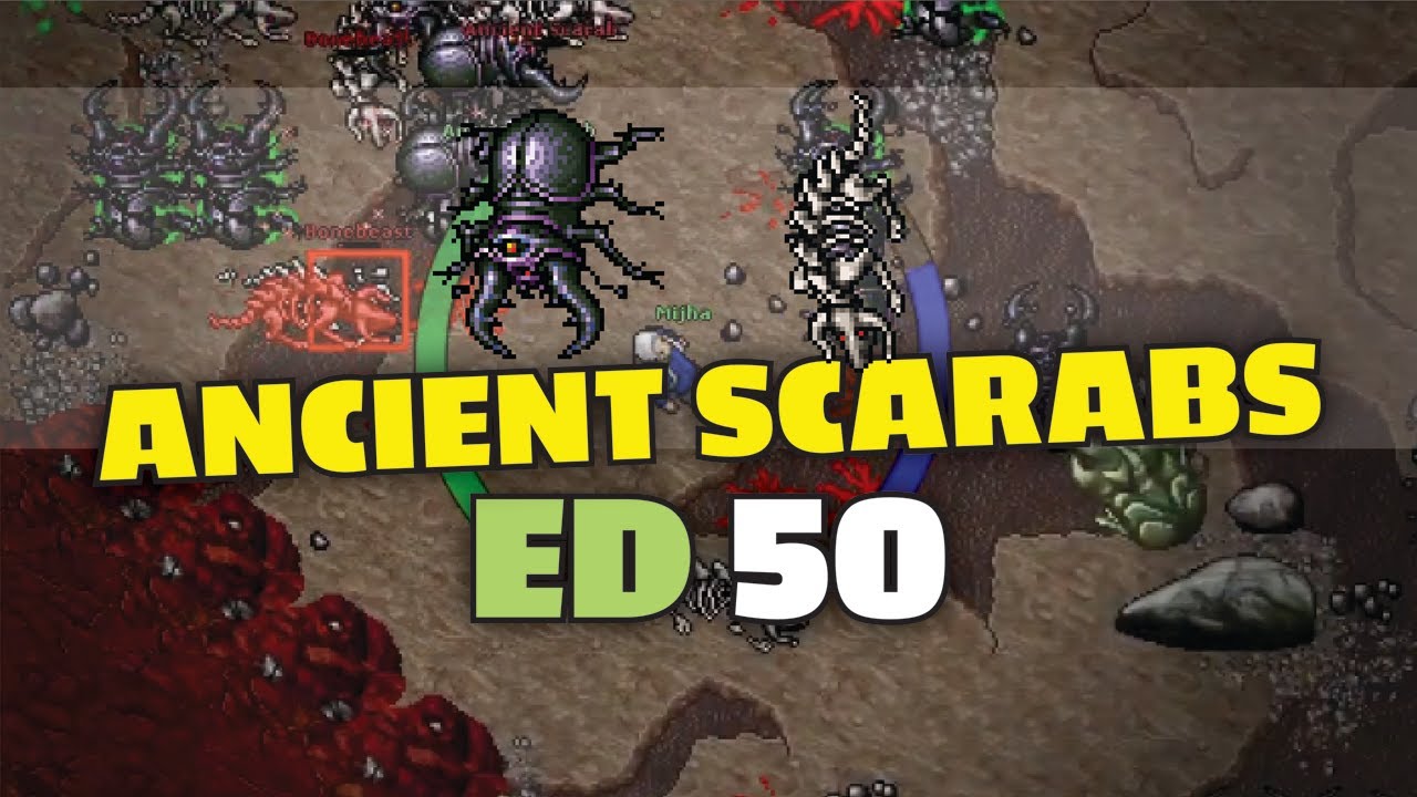 Ancient Scarabs - ED 50 solo - Tibia hunting - YouTube