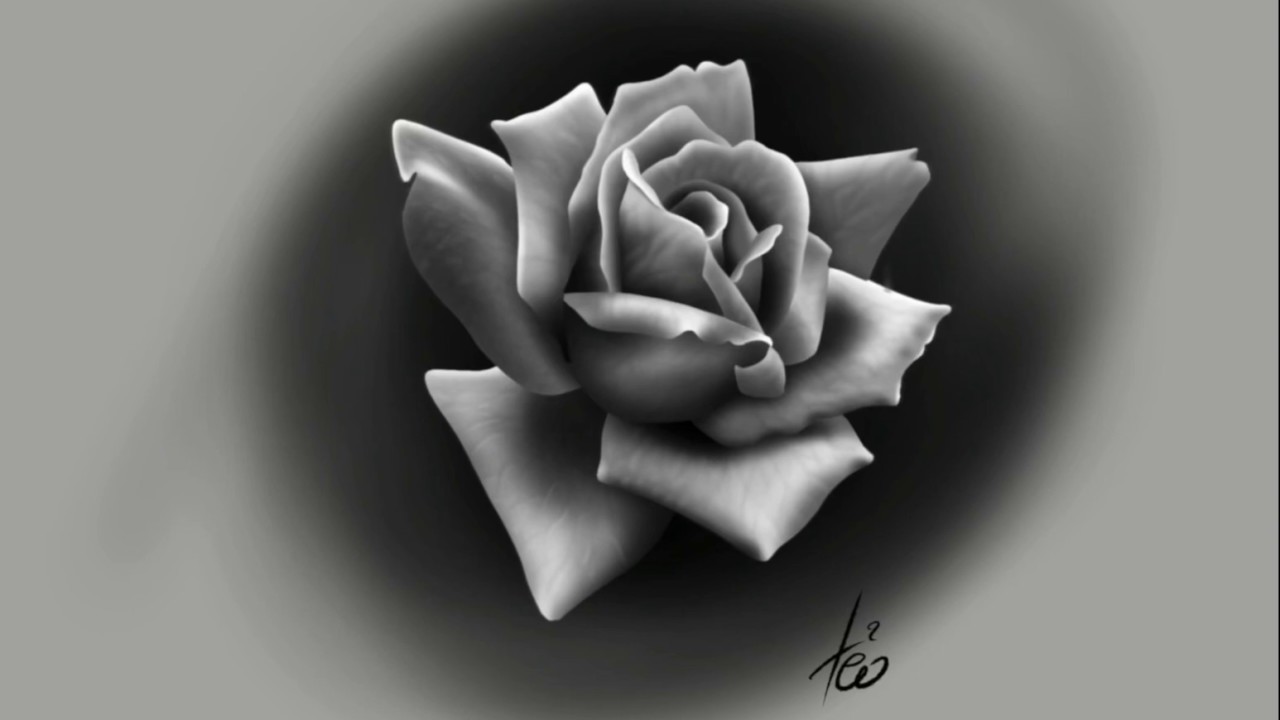 Rose digital drawing time lapse - YouTube