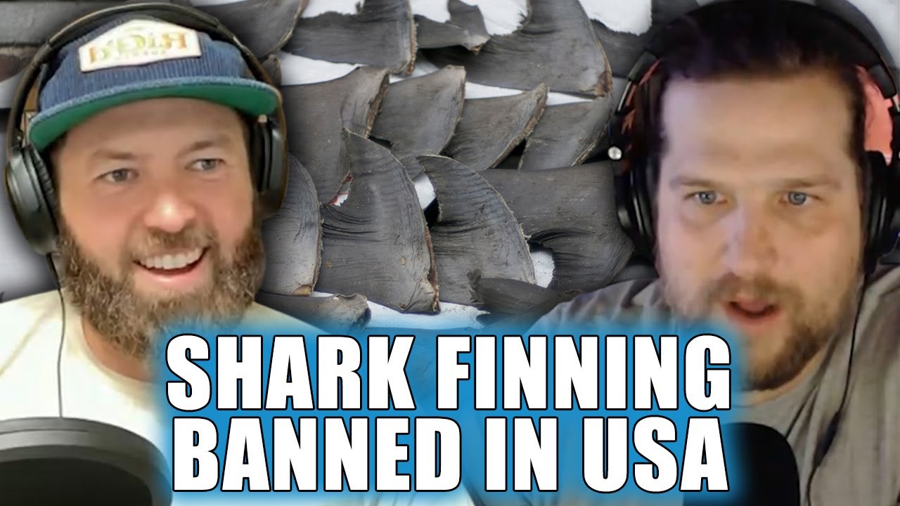 Shark Finning FINALLY Gets Banned in The USA - YouTube