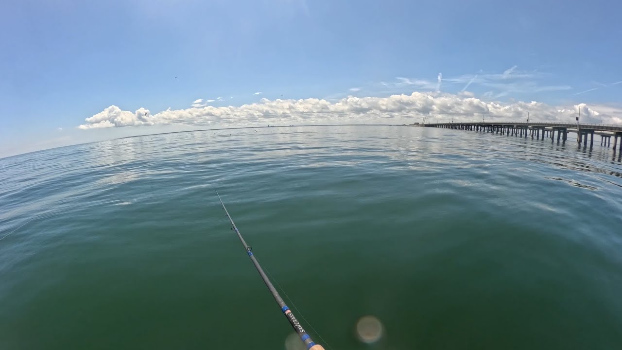 Taylor Bluefish Blitz at the CBBT - YouTube