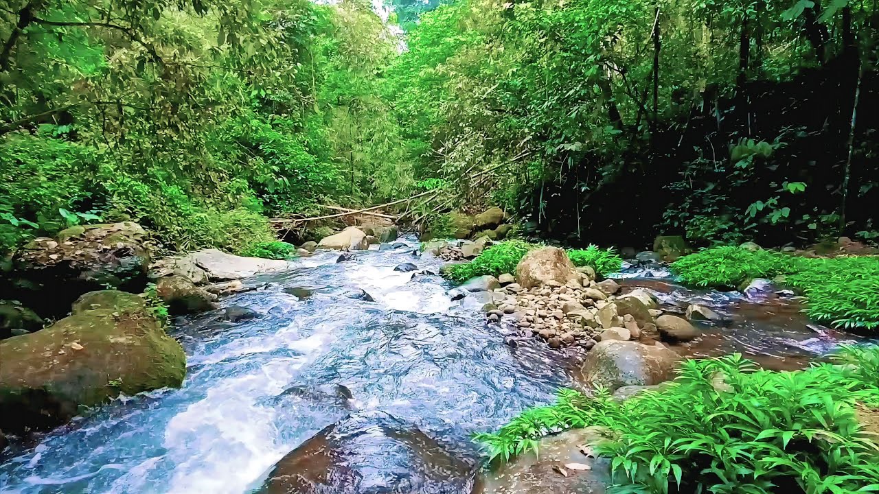 TRY The best way to relieve stress with Nature Sounds for Relaxation ...