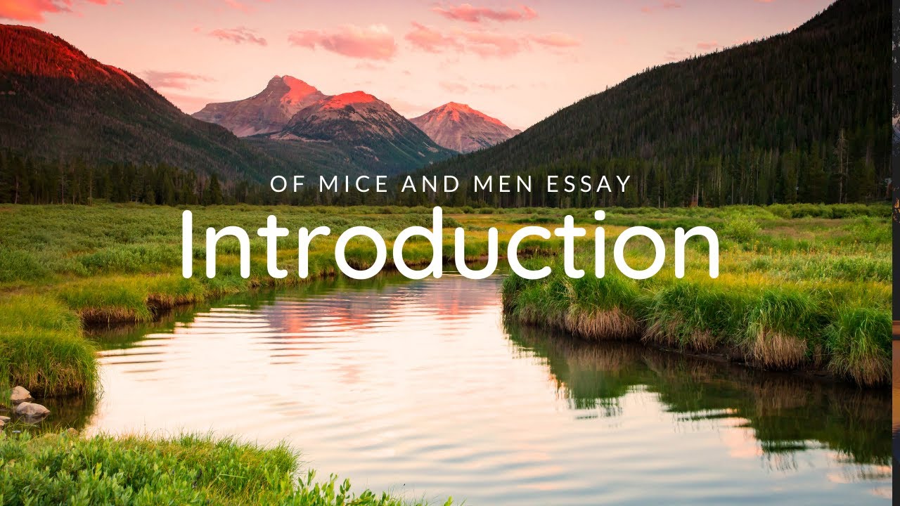 OMAM Essay - Introduction - YouTube