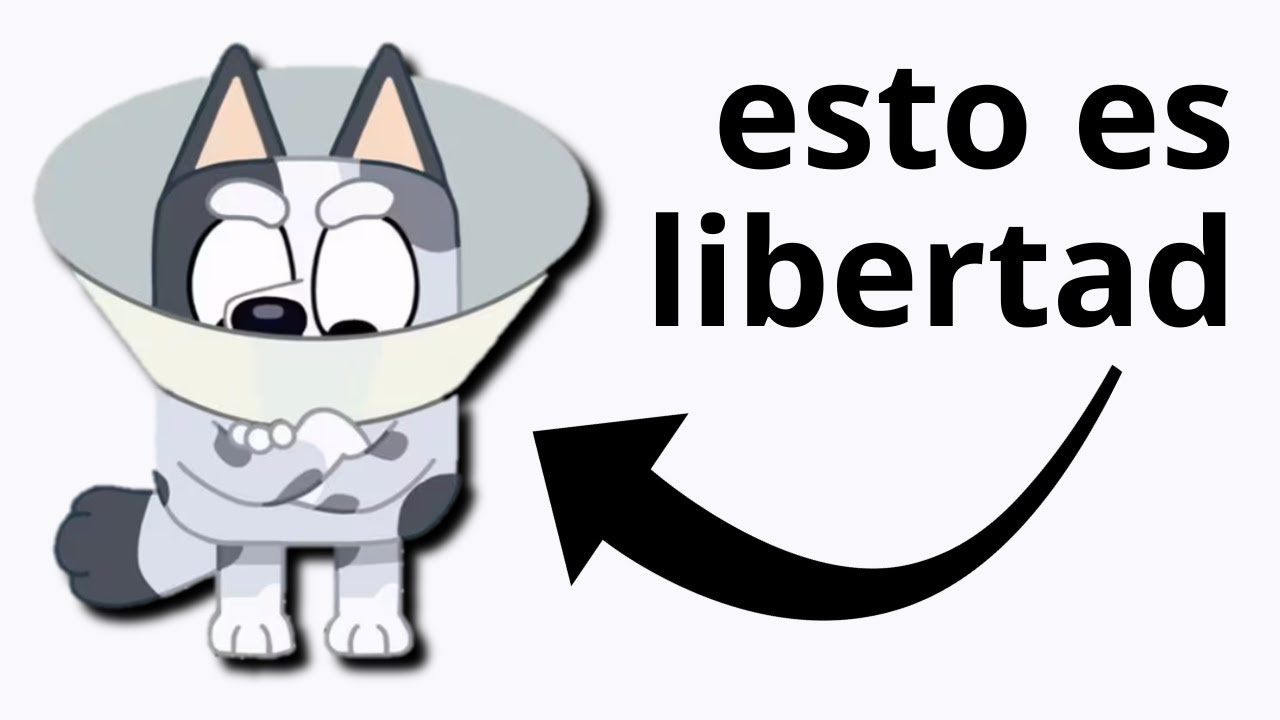 BLUEY te ENSEÑA sobre LA LIBERTAD. - YouTube
