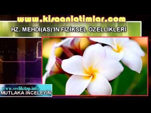 HZ. Mehdi (as)'ın Fiziksel Özellikleri