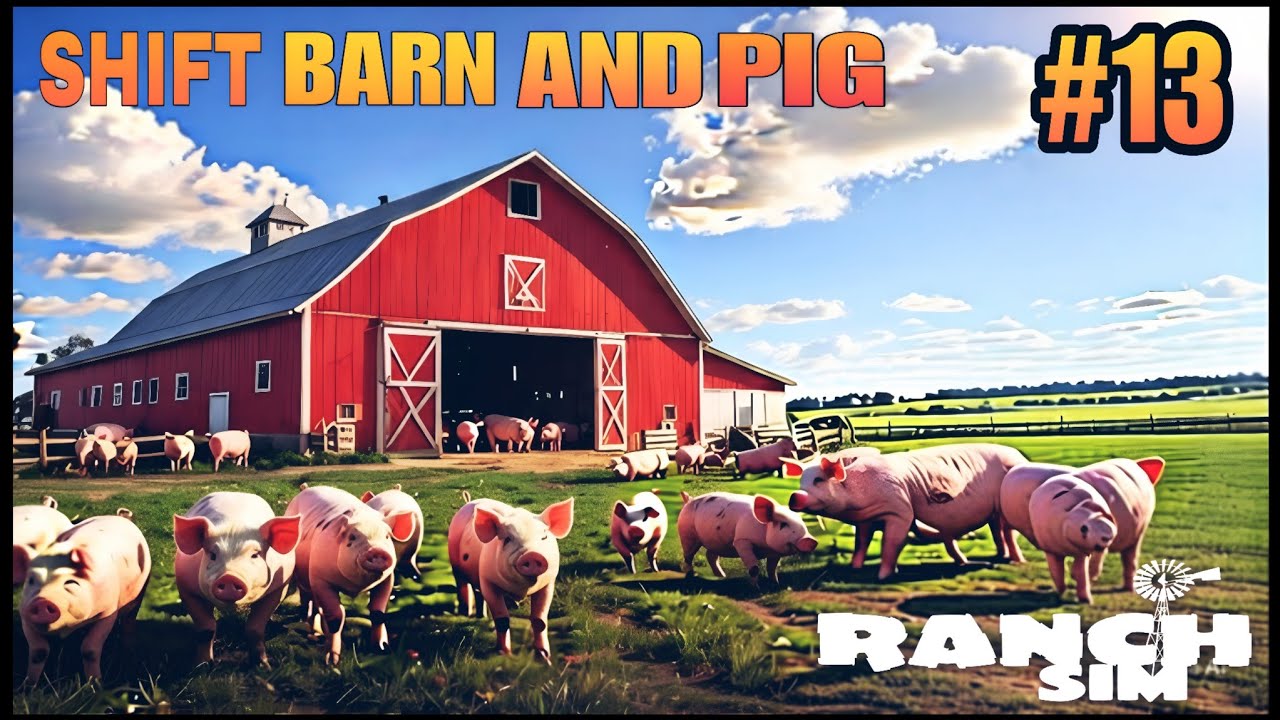 RANCH SIMULATOR GAMEPLAY! TODAY SHIFT BARN AND PIG TO NEW BARN #13 ...