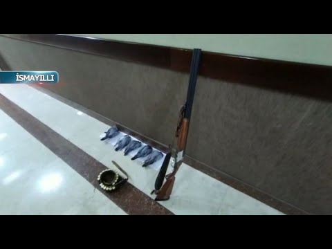 İsmayillida qanunsuz ov eden shexs saxlanilib… @Kanal-S