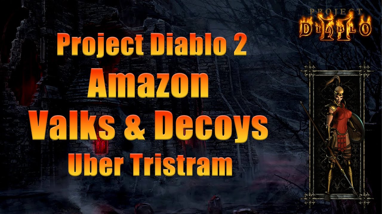 Project Diablo 2 Season Amazon Guide — Decoys & Valks vs Uber Tristram ...
