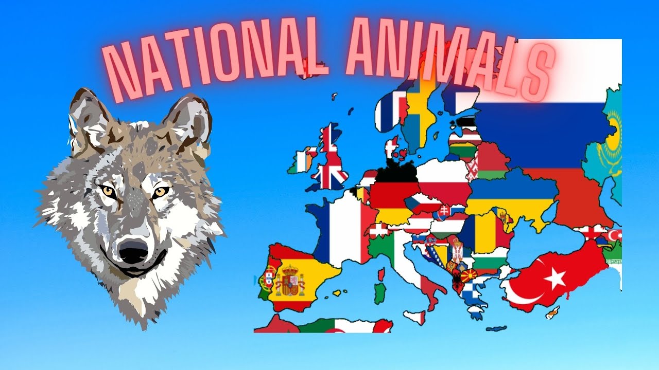 NATIONAL ANIMALS OF EUROPEAN COUNTRIES #world #top - YouTube