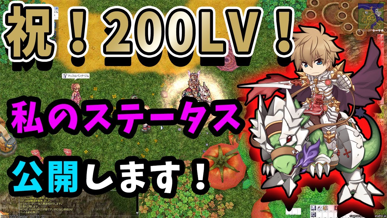 【RO】祝200lv達成！私のステータスと装備を晒します！ #ラグナロクオンライン #RO - YouTube
