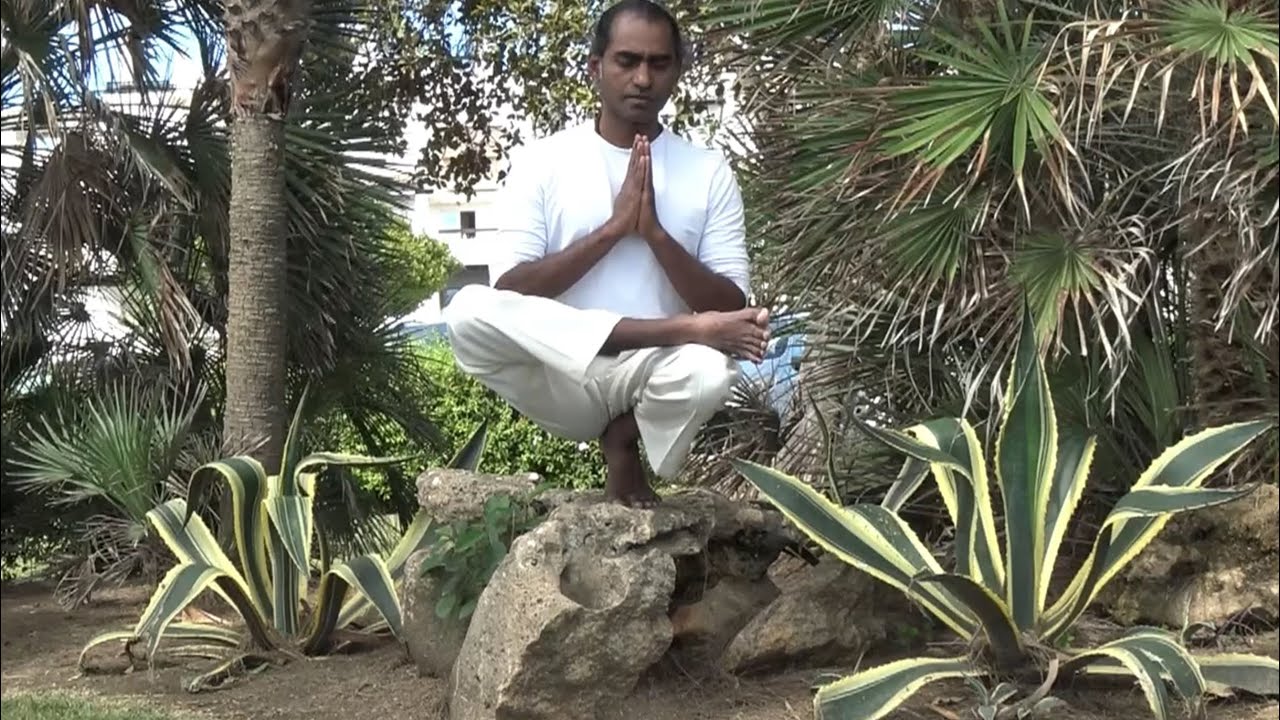 Padangushtasana demonstration | yoga asanas | Ajan Yogi - YouTube