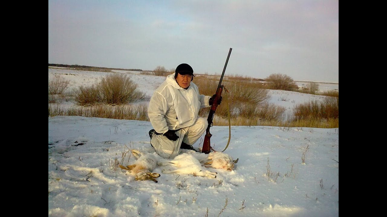 HARE hunting in winter зайц охота на зайца зимой - YouTube