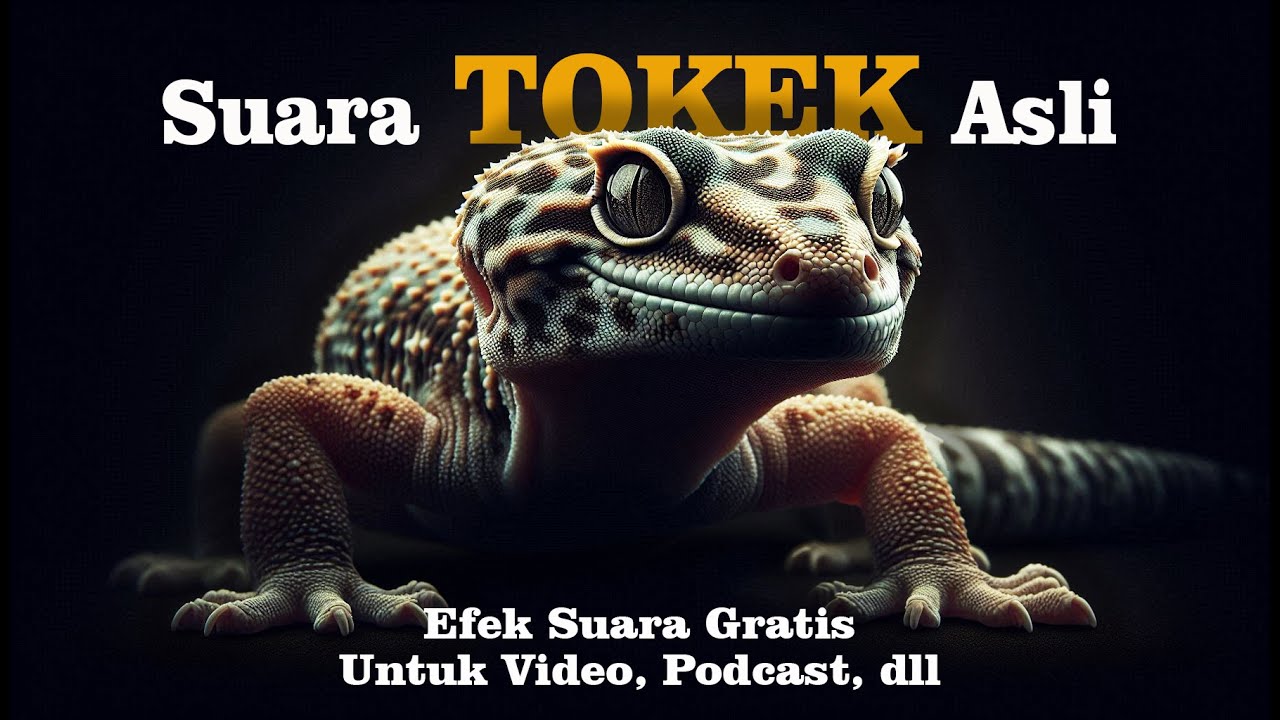 UNIK! Suara Tokek Asli | UNIQUE! Authentic Gecko Sounds - YouTube