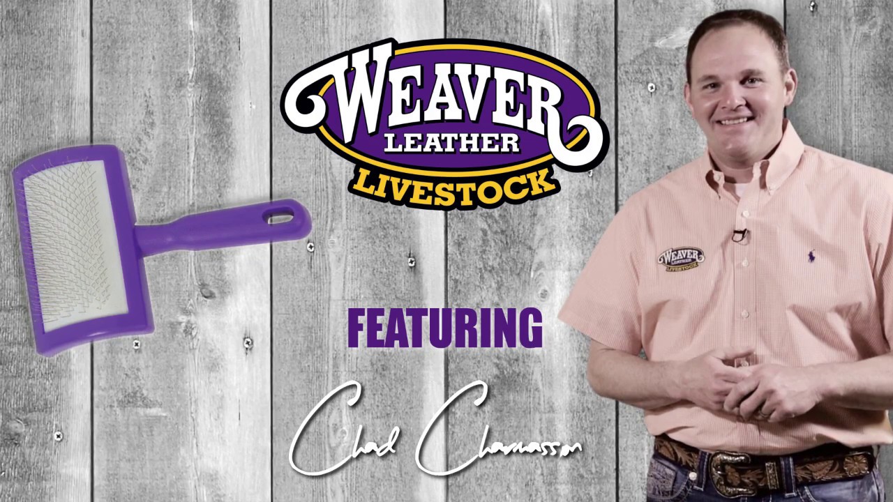 Fitting Sheep Legs with the Slicker Brush - YouTube