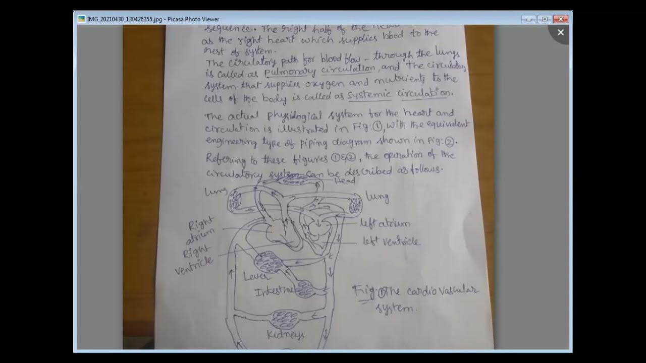 JNTUK R16 III ECE Sem 2 BMI Unit 3 Cardivasular system Lec 2 - YouTube