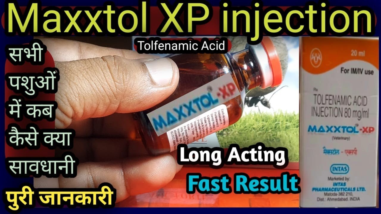 Maxxtol-XP Injection||Tolfenamic Acid Veterinary use||Konsi Disease ...