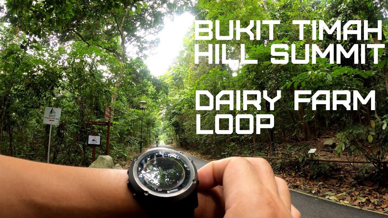 Virtual Hike [4K] - Dairy Farm Loop climb to Bukit Timah Hill summit ...