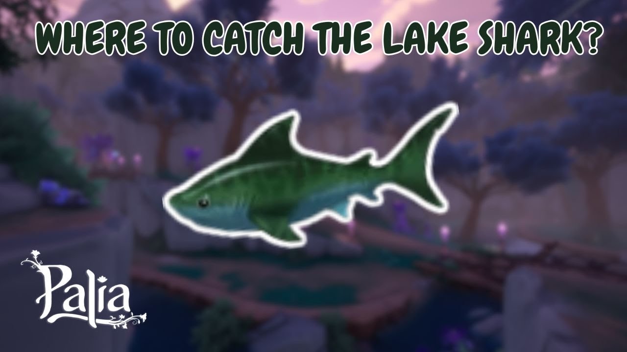 PALIA - Catching the Lake Shark – Location, Time & Bait! - YouTube