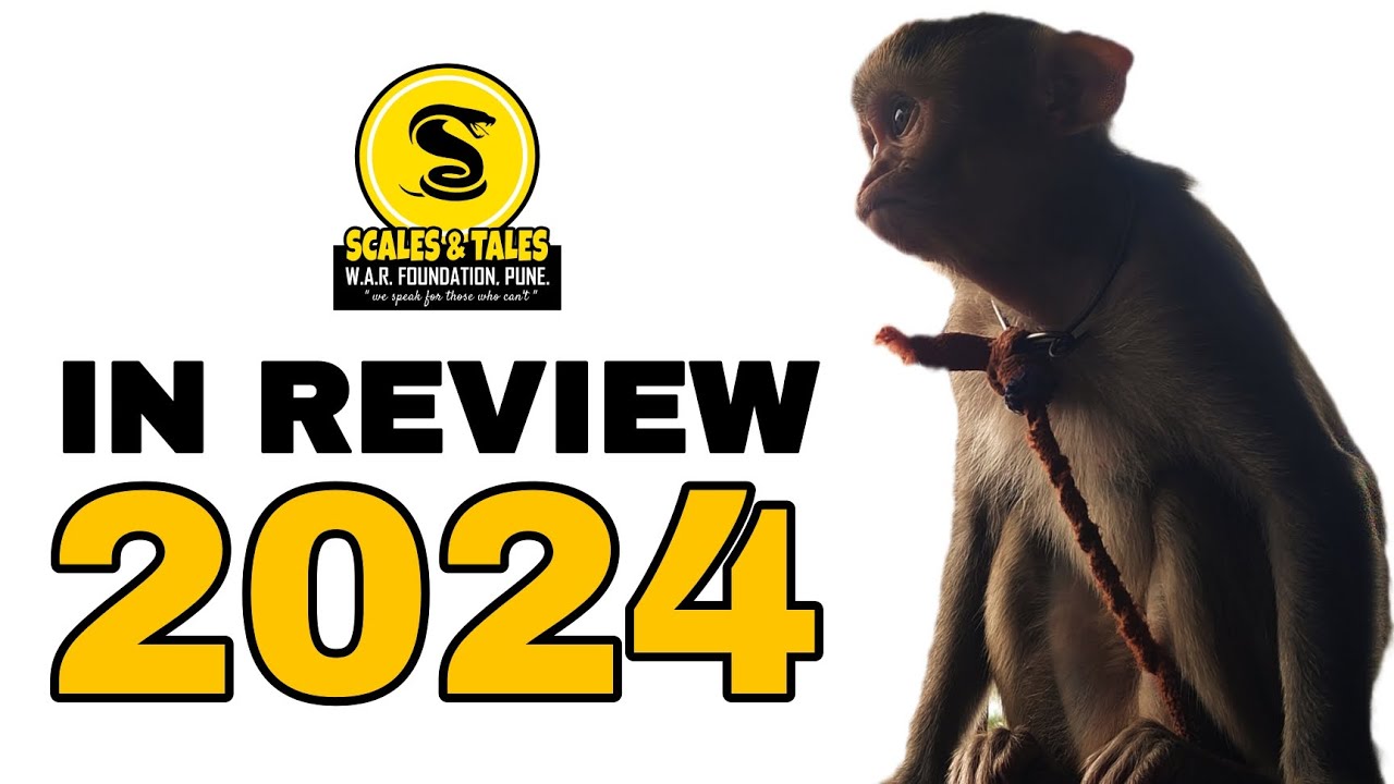 In Review 2024 | scales and tales 2024 review | New year 2025 - YouTube