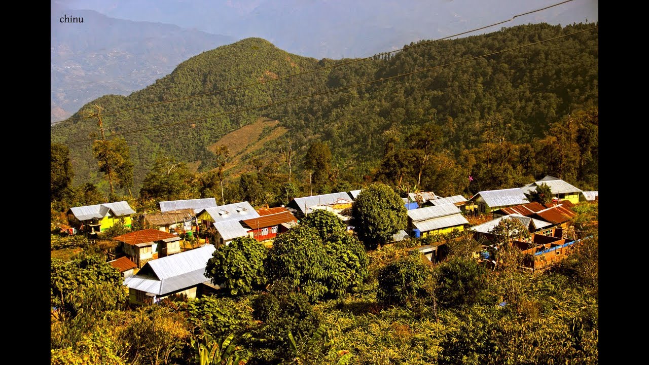 Gaon