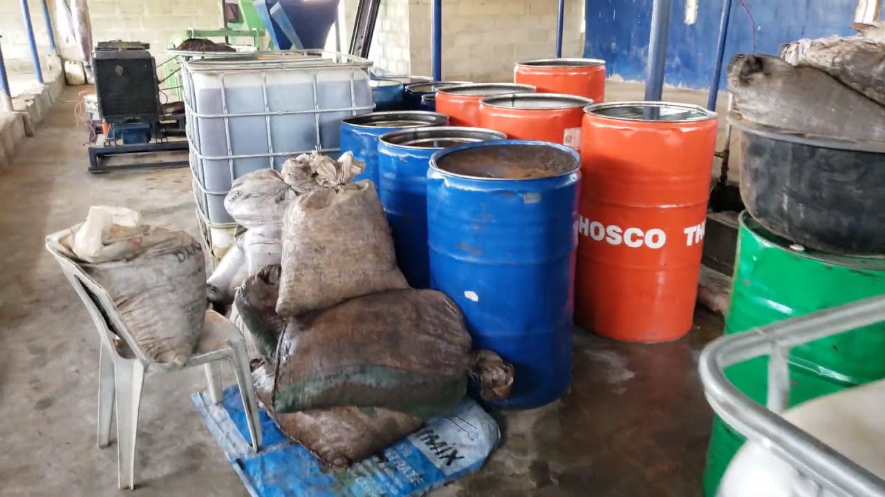 Palm Kernel Expellers and processed Palm kernel Oil - YouTube