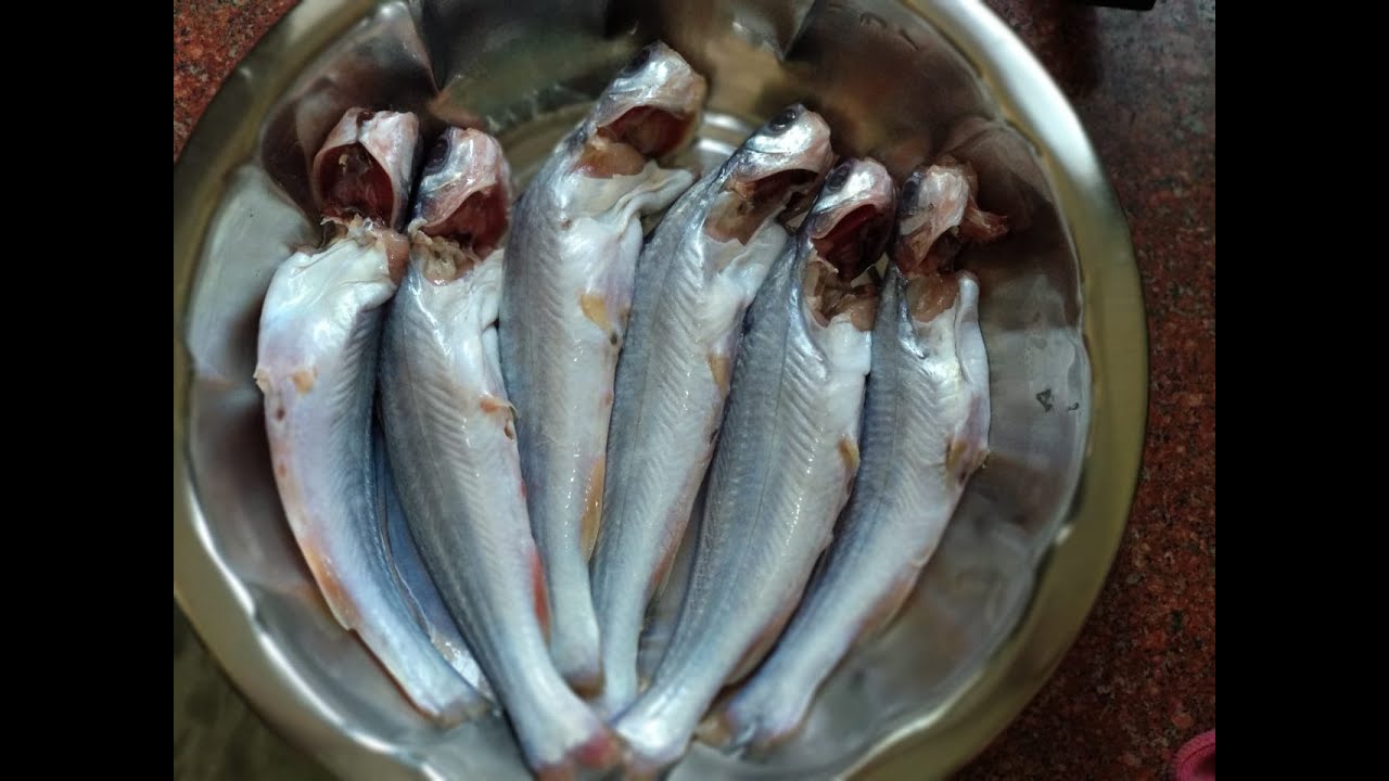 Tengra fish recipe in Hindi. Spicy Delicious Authentic fish curry ...