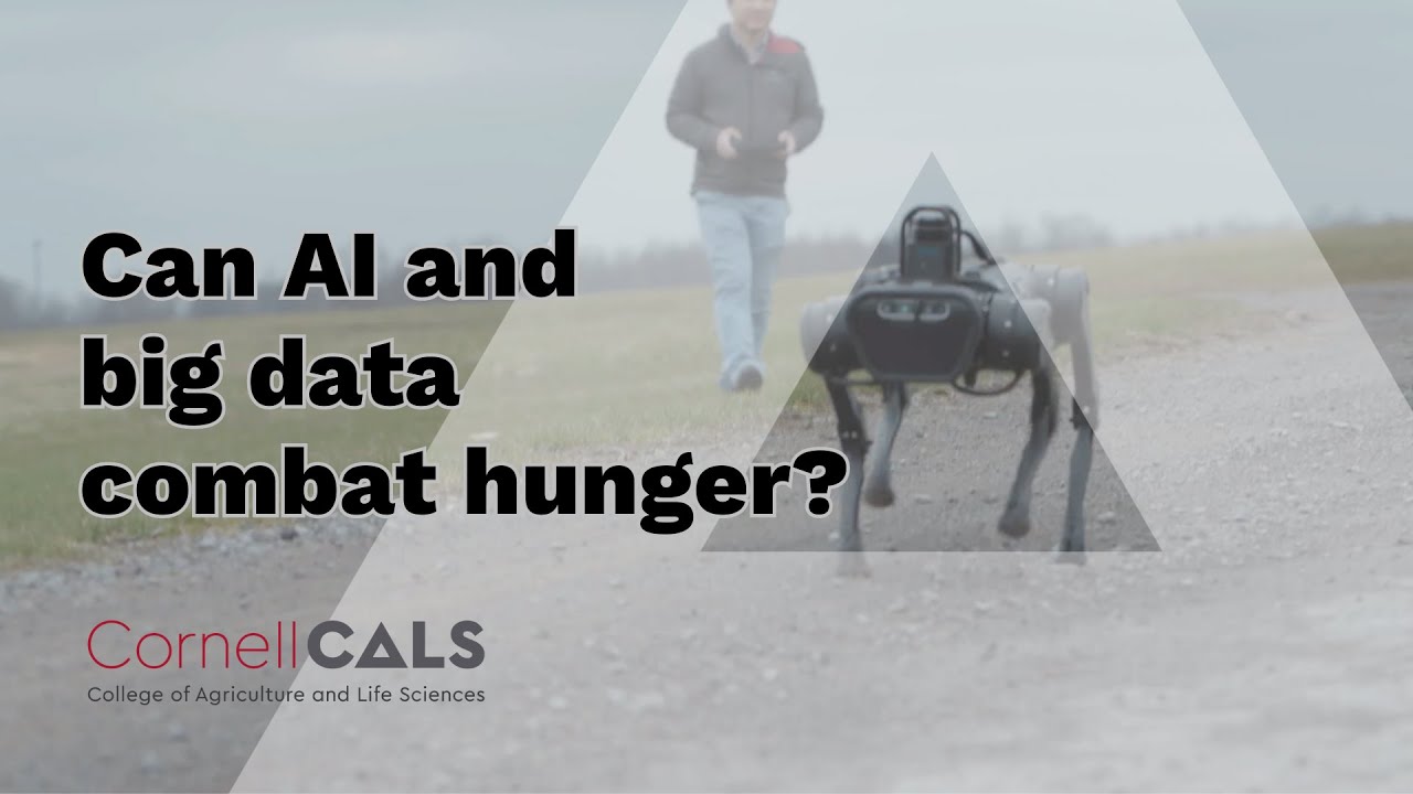 Faculty Research Spotlight: Can AI and big data combat hunger? - YouTube