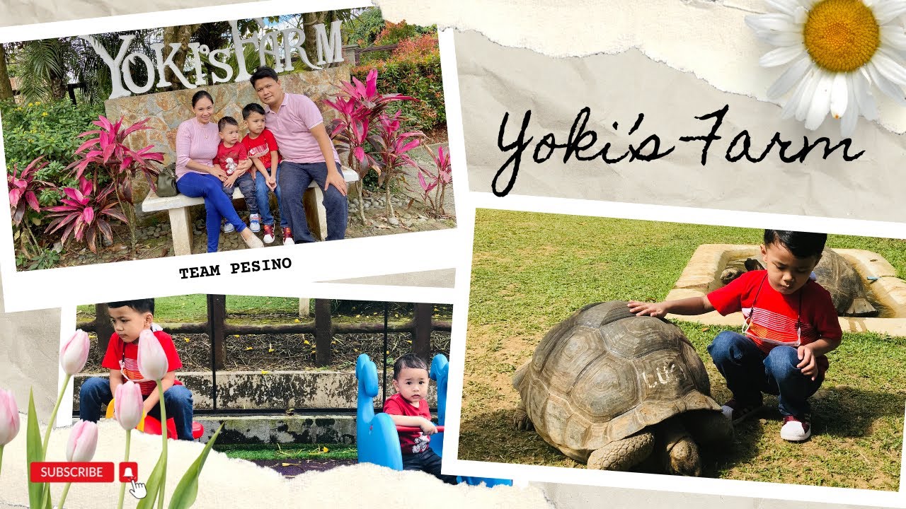 Yoki’s Farm | Team Pesino - YouTube