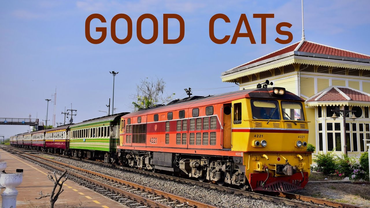 EP. 68: Good cats - YouTube